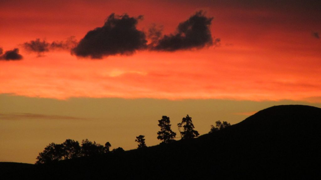 Te Angiangi Marine Reserve Part 2 | Out On A Limb